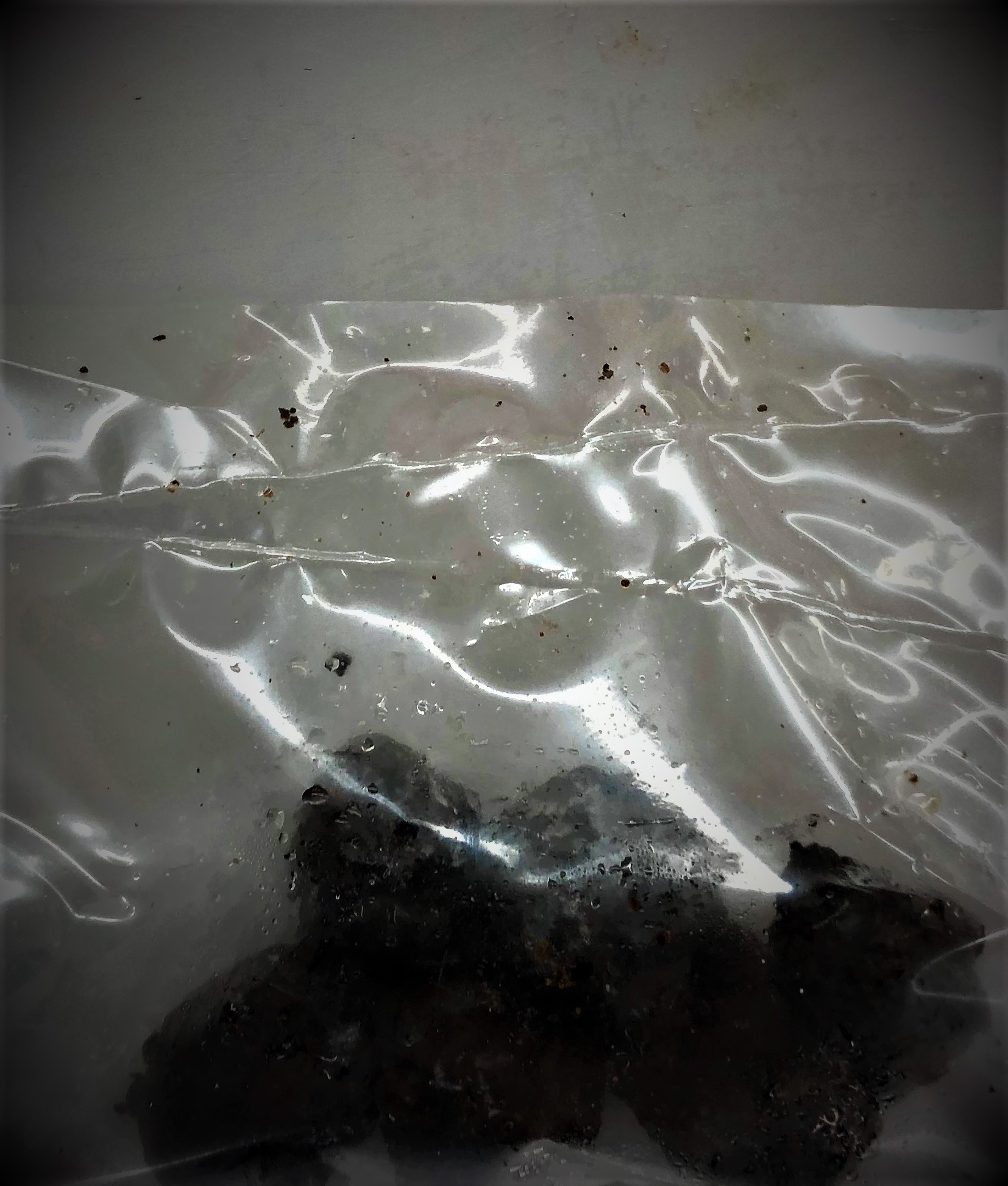 Ogiri Okpeye (Locust Bean) – Alief African Foods