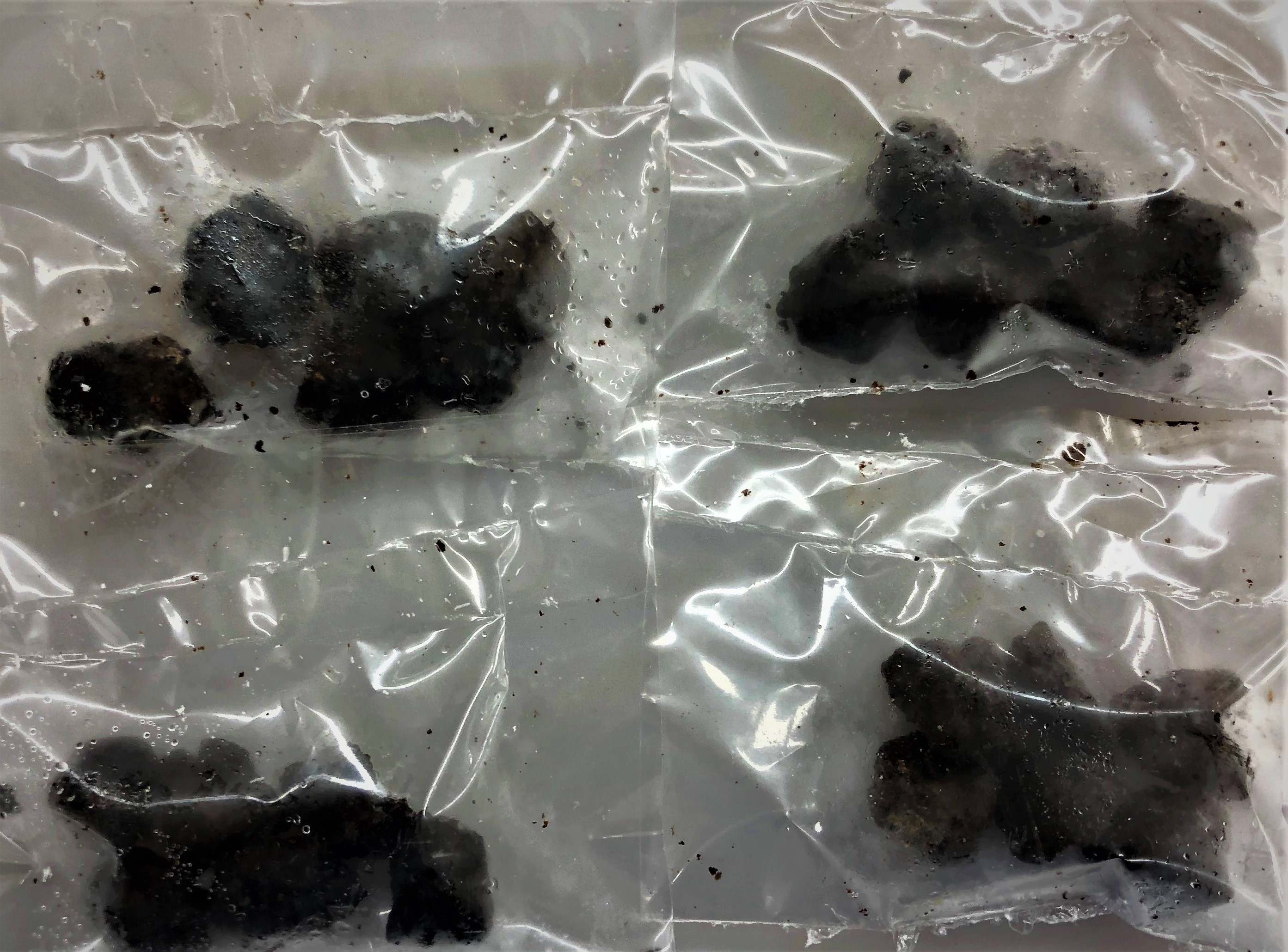 Ogiri Okpeye (Locust Bean) – Alief African Foods