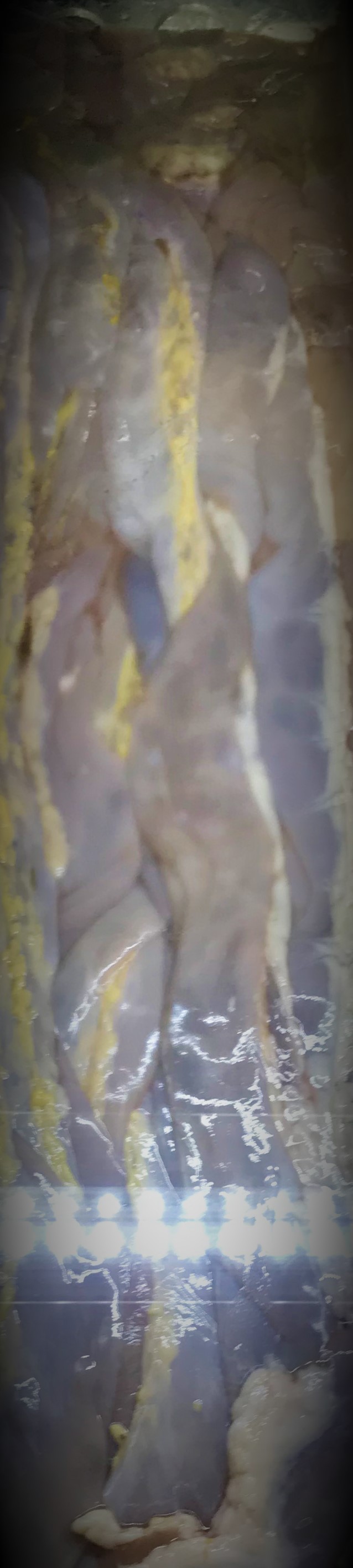 Beef Intestine – Alief African Foods